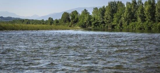 Io Tu Noi Il Piave - conoscerlo viverlo, curarlo